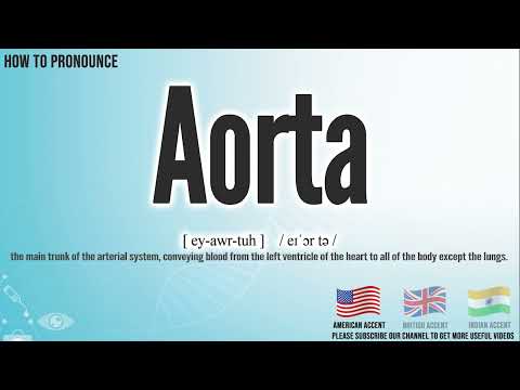 Aorta Pronunciation | How to Pronounce (say) Aorta CORRECTLY | Medical Meaning