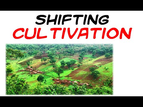Shifting cultivation