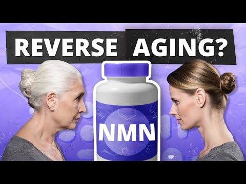 REVERSE AGING: Dr. David Sinclair on NMN & Top NMN Benefits!