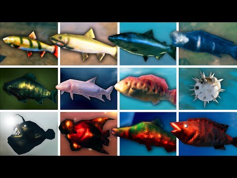 Steam Community :: Video :: Valheim - The Complete Fish & Fishing Guide ...