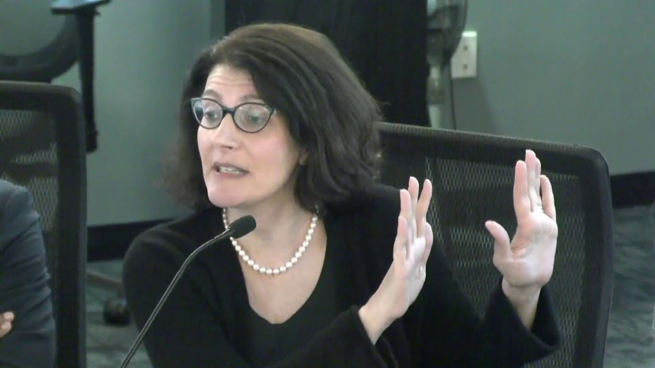 FCPS School Board Work Session - Goal 3 Premier Workforce and SYC 4-8-19