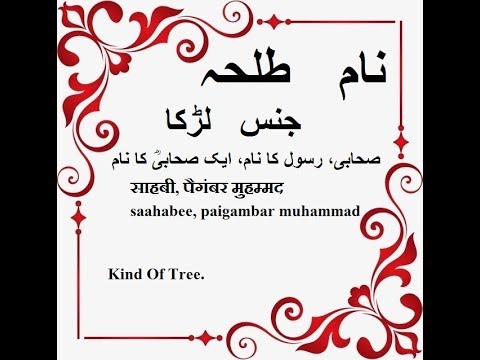 Talha Name Meaning in Urdu - Islamic baby names