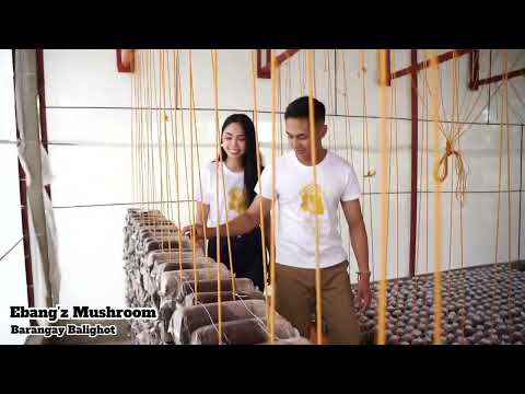 LAGAW CAPIZ | Municipality of Maayon
