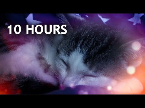 Make Your Cat Sleep Within 5 Minutes (CAT MUSIC With Cat purring sounds) 10 HOURS!!!