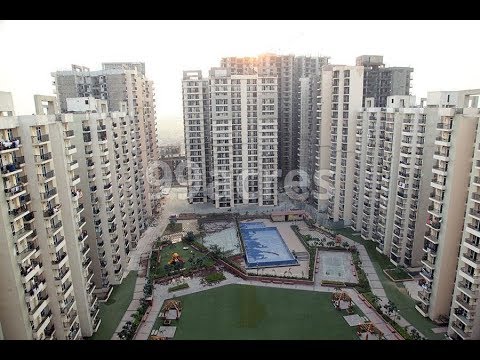 Gaursons and Saviour Builders Gaur City 1st Avenue Photos And Videos ...