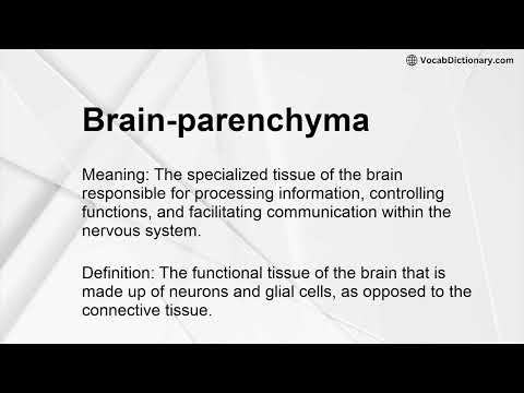 Brain-parenchyma Meaning