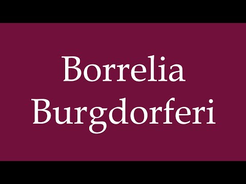 How to Pronounce ''Borrelia Burgdorferi'' Correctly in German