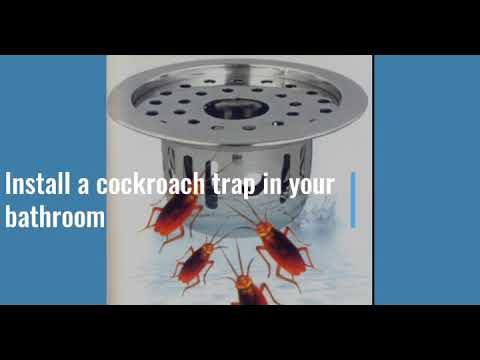 Cockroach Trap at Best Price in India