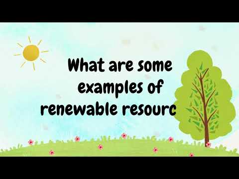 What are some examples of renewable resources