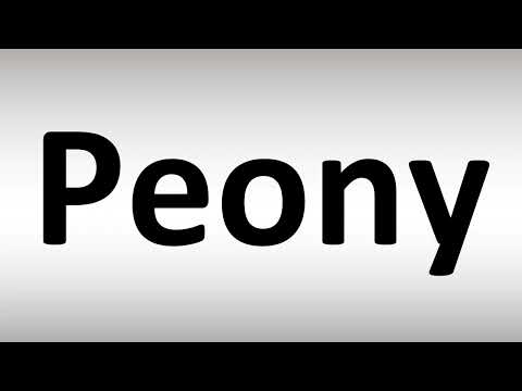 How to Pronounce Peony