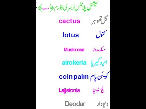 Plants names urdu english
