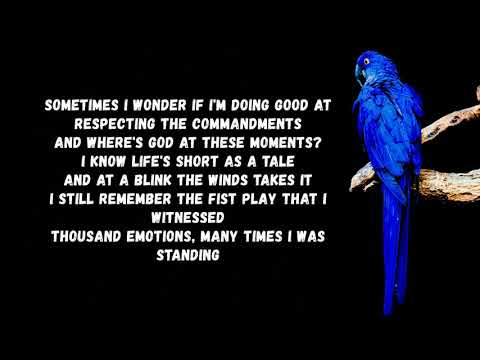 Bad Bunny - 6 rings (Kobe tribute) | English Lyrics translation/Meaning