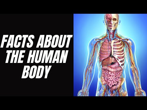 10 Fascinating Facts About the Human Body You Never Knew🤯ðŸ§