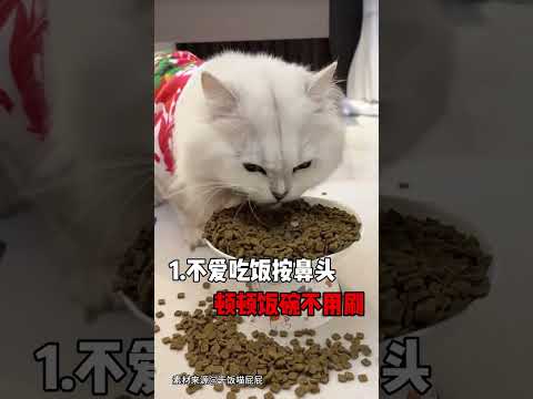 老祖宗的撸猫手法 是真的好用 The ancestor’s cat-raising technique is really easy to use