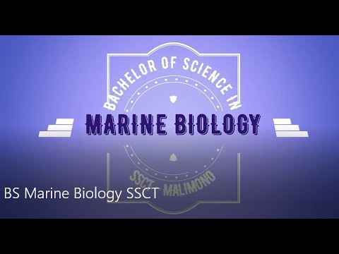 BS Marine Biology SSCT