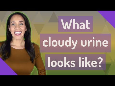 What cloudy urine looks like?