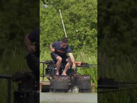 Have you watched the latest Fishing Gurus chapter yet? 🎬🎣 #shorts