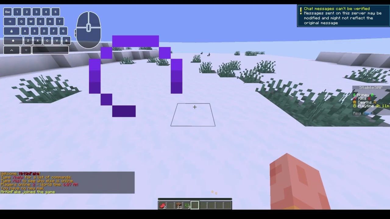 Meteor Client? Packet Canceller? Nah My plugin minecraft will detect it.
