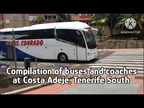 Compilation of buses and coaches at Costa Adeje, Tenerife South