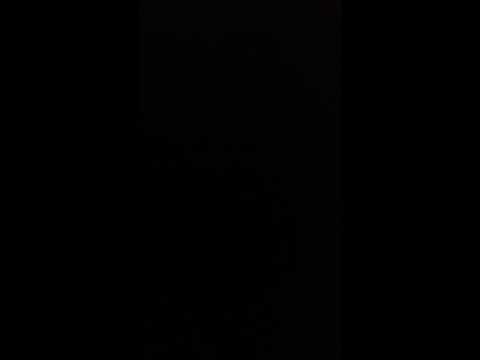 New Electronic Sample