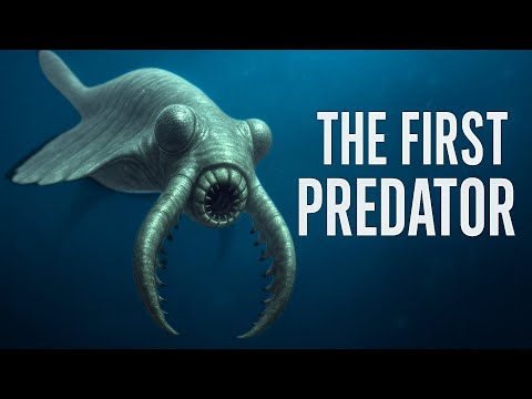 Anomalocaris — The Ancient Mechanical Guillotine And The Ocean’s First Killer
