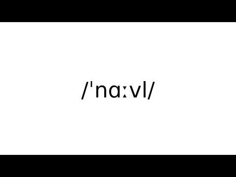 #novel #noun #meaning #meanings #definition #definitions #phonetics #pronunciation #advanced #englis