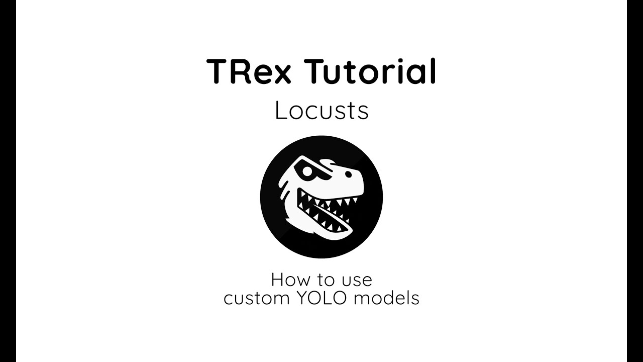TRex tutorials - Tracking using custom YOLO models