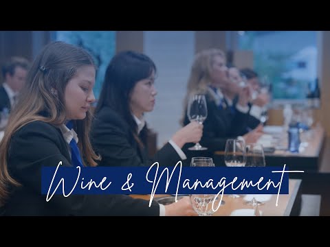 Embark on a journey to wine expertise with Le Cordon Bleu's Wine and Management Diploma