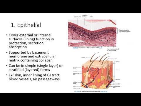 Animal Anatomy and Physiology for zoology