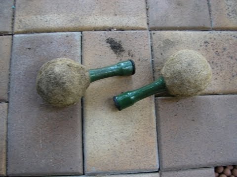 Wetpot irrigation for dwarf fruit trees.. Pressurised olla water wise irrigation.