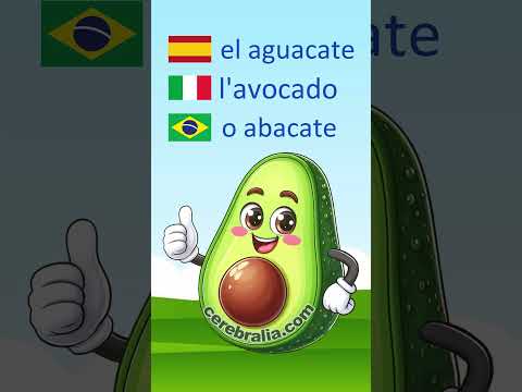 How to say avocado in Spanish, Italian and Portuguese