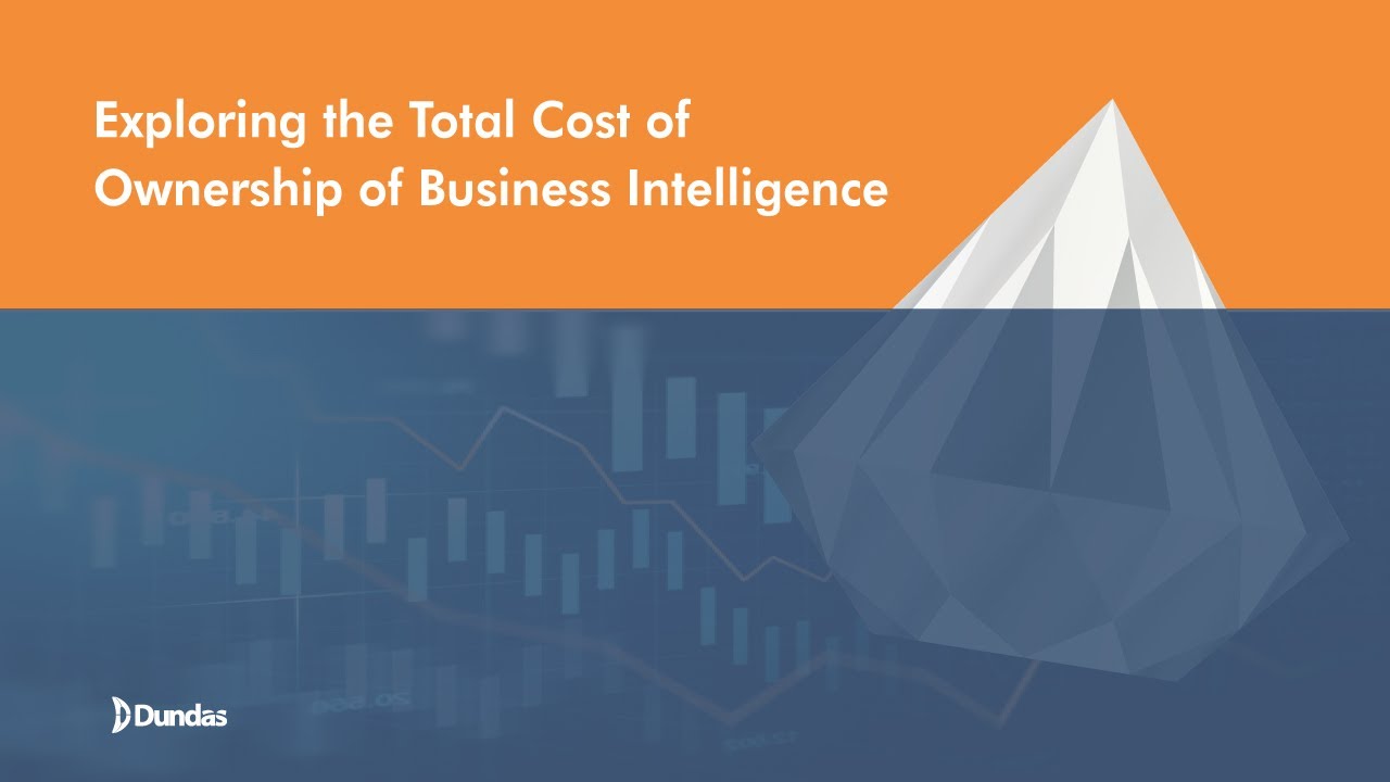 Exploring The Total Cost Of Ownership Of Business Intelligence