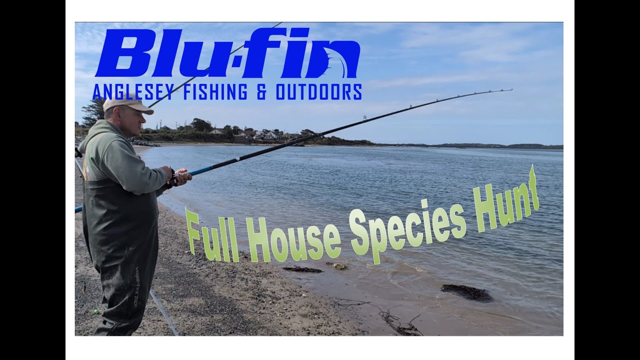 BluFin Full House Species Hunt - Anglesey Shore Fishing