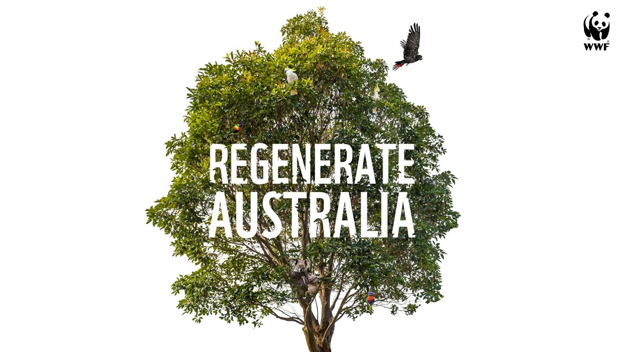 Announcing Regenerate Australia | WWF-Australia