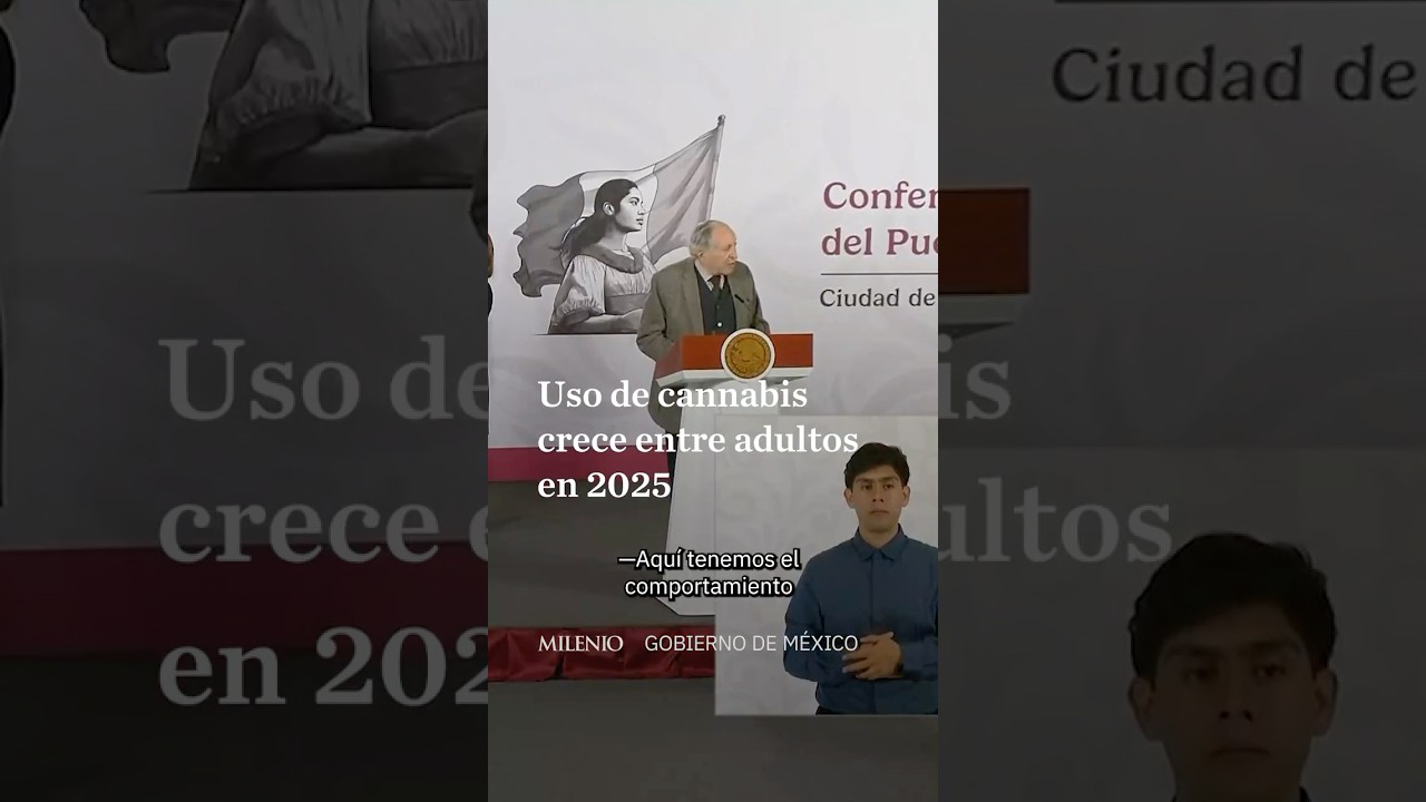 Increased cannabis use explains the growth in adult drug use in 2025