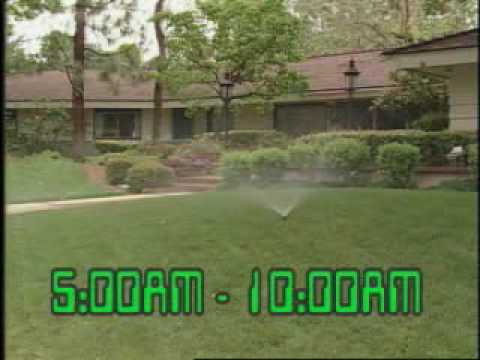Best Time to Water
