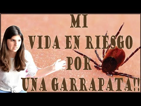 QUE PASA SI TE PICA UNA GARRAPATA? [ENFERMEDAD DE LYME]