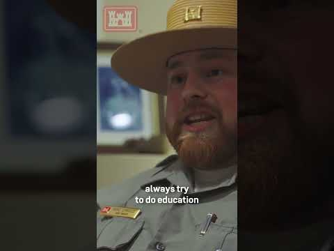Can Park Rangers Write Tickets? Park Ranger Answers The Internet's Most Searched Questions. #shorts