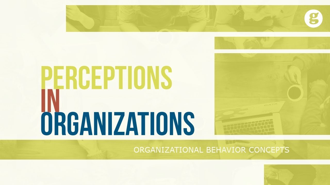 Perceptions in Organizations