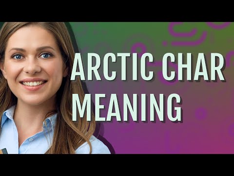 Arctic char | meaning of Arctic char