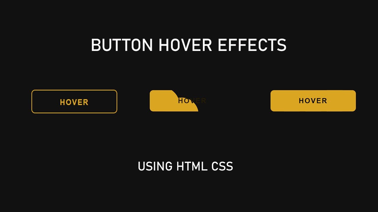 Button Bubble Hover Effects Using HTML CSS | CSS Hover Effects