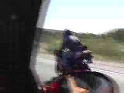 goat cruise azdg