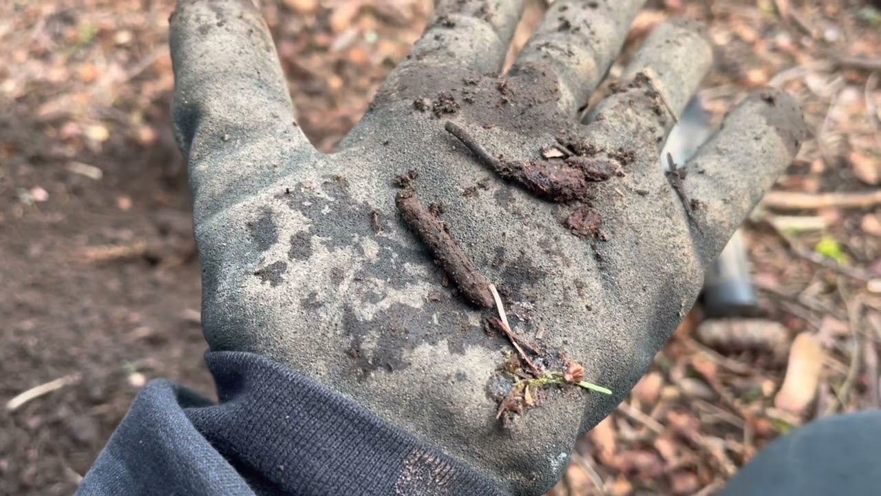 More Daleway Park #metaldetecting
