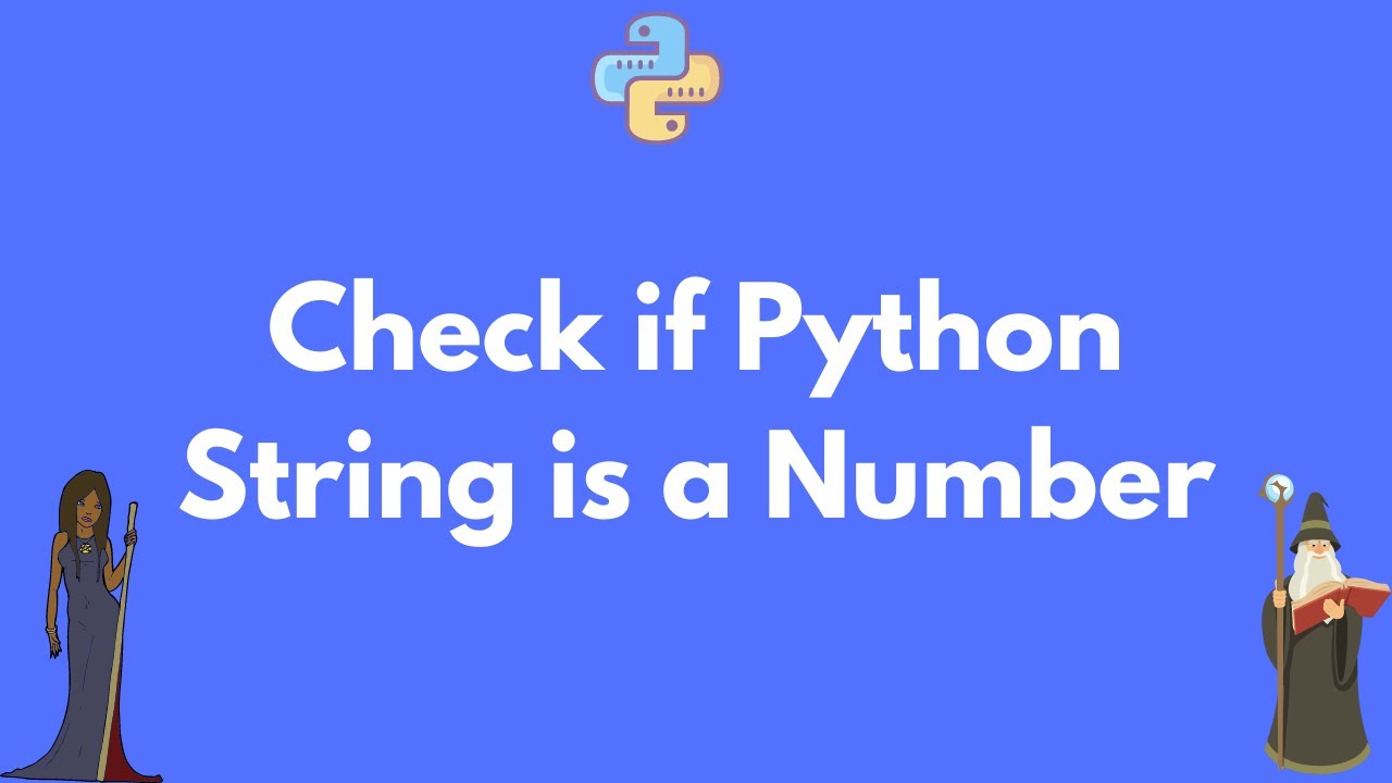 How to check if a Python string is a number - float or int