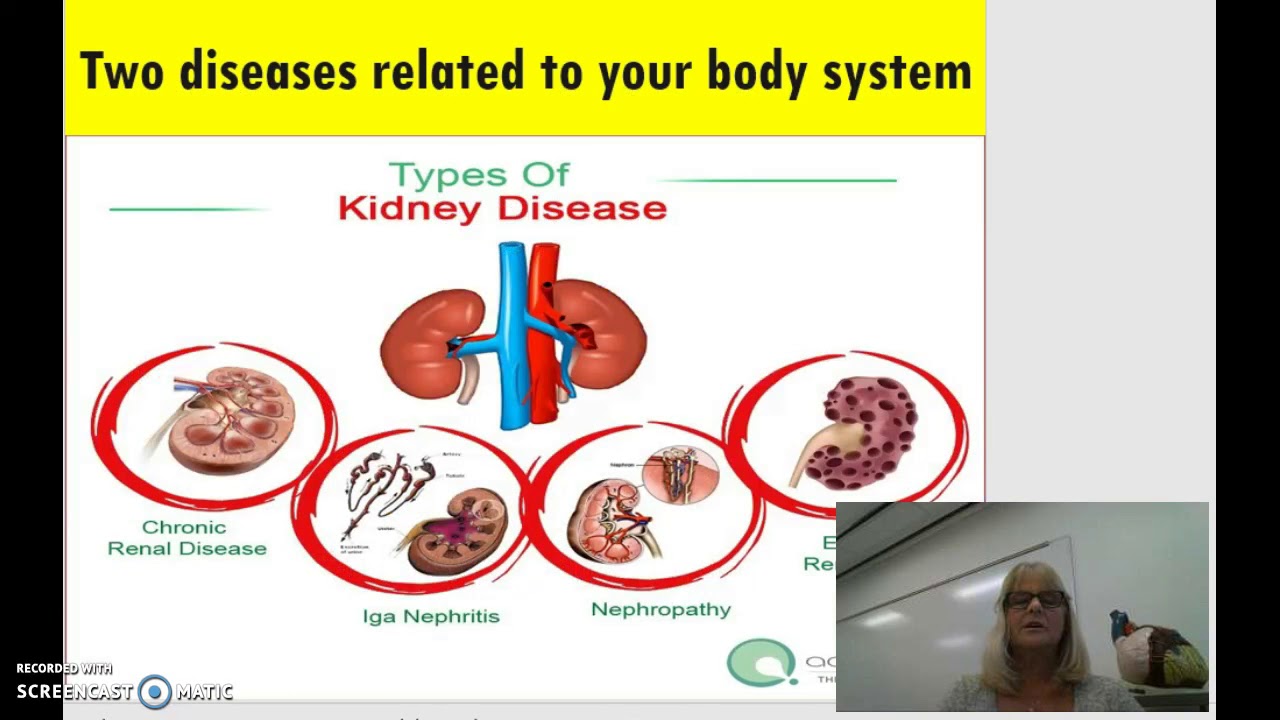 Medical Terminology PowerPoint Presentation Instructions