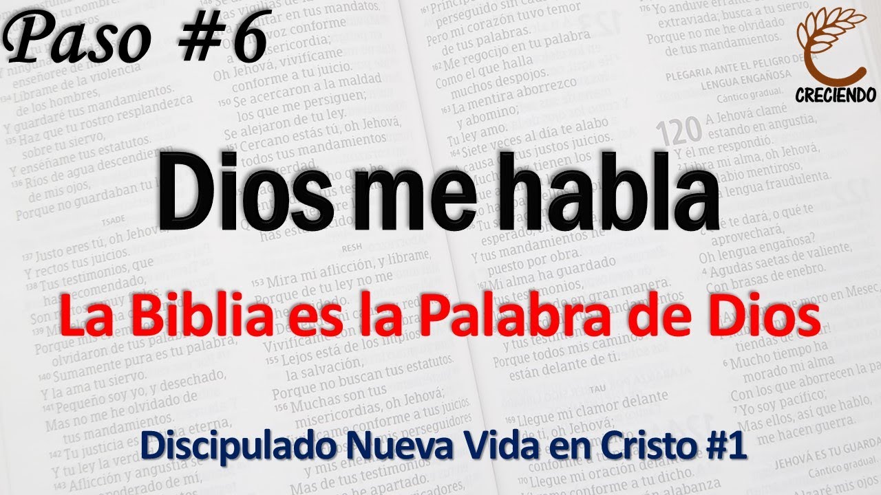 Paso 6: Discipulado Nueva Vida en Cristo