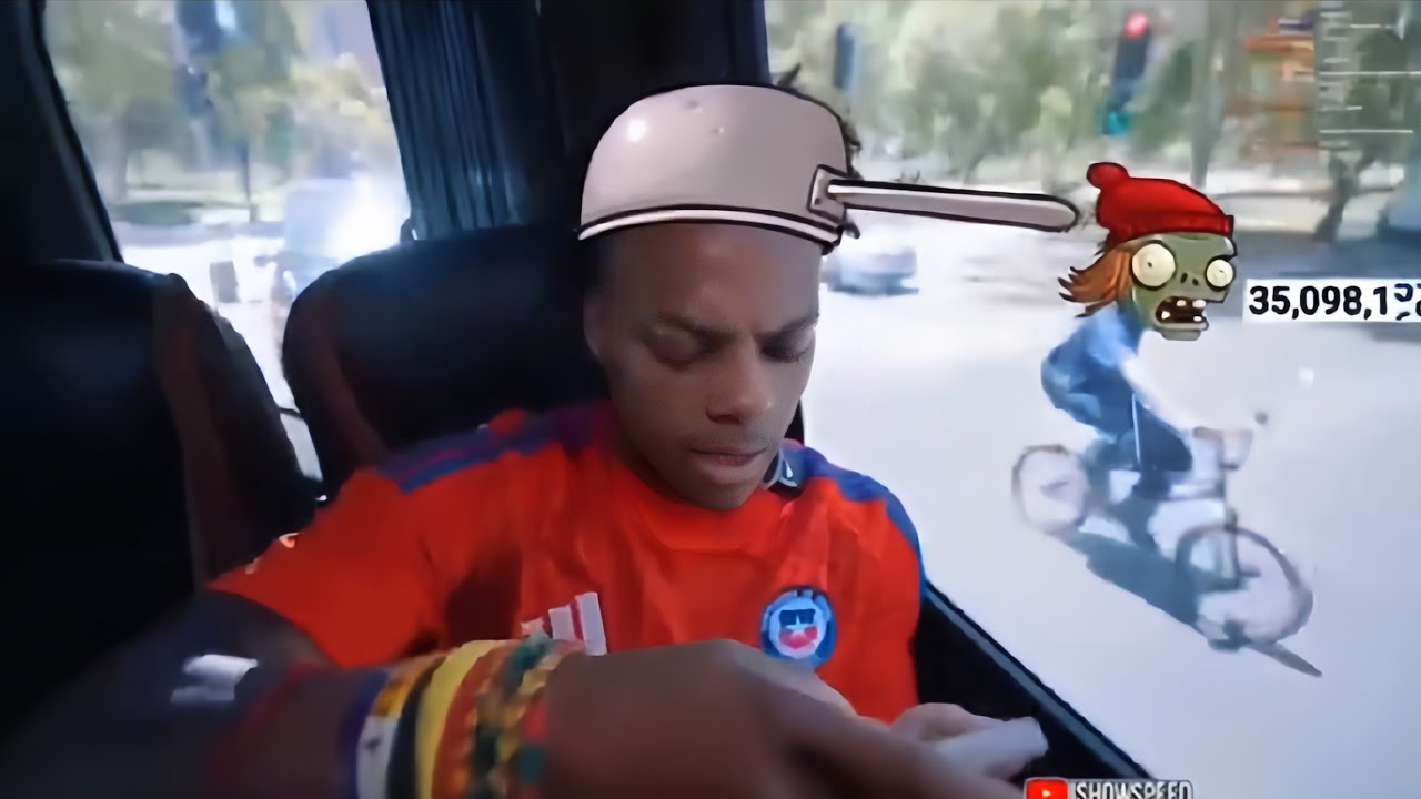 PvZ Memes 3