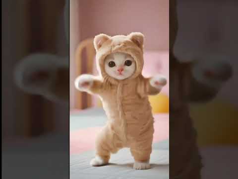 Motor Dancing Catπ Motor Kitty Boogie! π #funny Dance Video π #pets #ytshorts #comedy #cat #trending