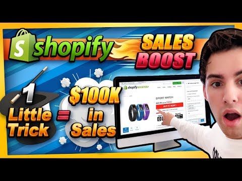 How We Took Our Shopify Dropshipping Stores From $0 To $100K – Money Is ...