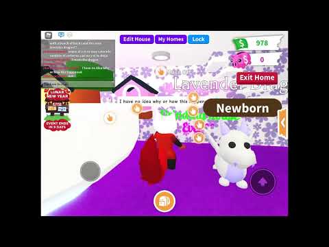 ADOPT ME GAVE ME A LAVENDER DRAGON BECAUSE THE DJ GAMEPASS BROKE…